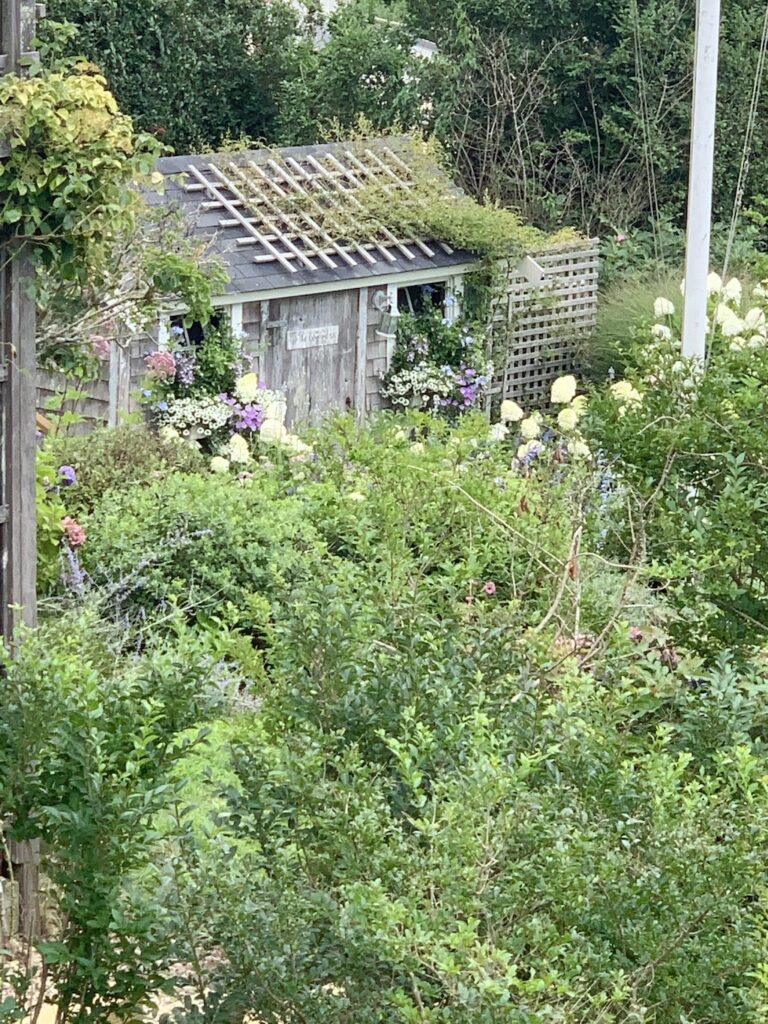 Nantucket Nights & Days!:What we did on our four days on Nantucket Island