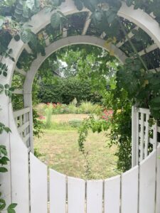 Nantucket Nights & Days!:What we did on our four days on Nantucket Island